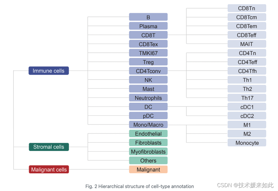 单细胞总结_tisch2-CSDN博客