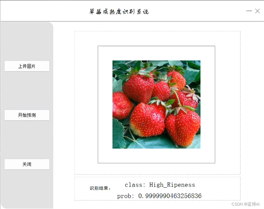 基于卷积神经网络的草莓成熟度识别，resnet50，vgg16模型（pytorch框架，python代码）草莓识别模型 Csdn博客 