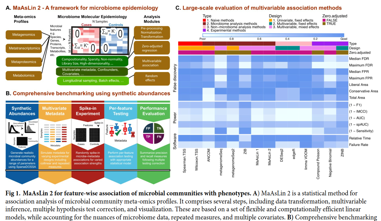 微生物差异丰度分析方法: MaAsLin 2 (Microbiome Multivariable Associations with Linear Models)_maaslin2-CSDN博客