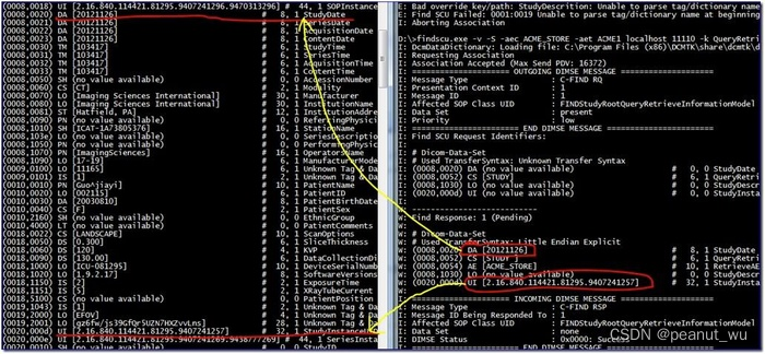 Dcmtk模拟pacs:debugging With Dcmtk Csdn博客