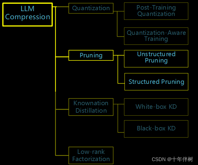 20240616日志：大模型压缩方法DMS-CSDN博客