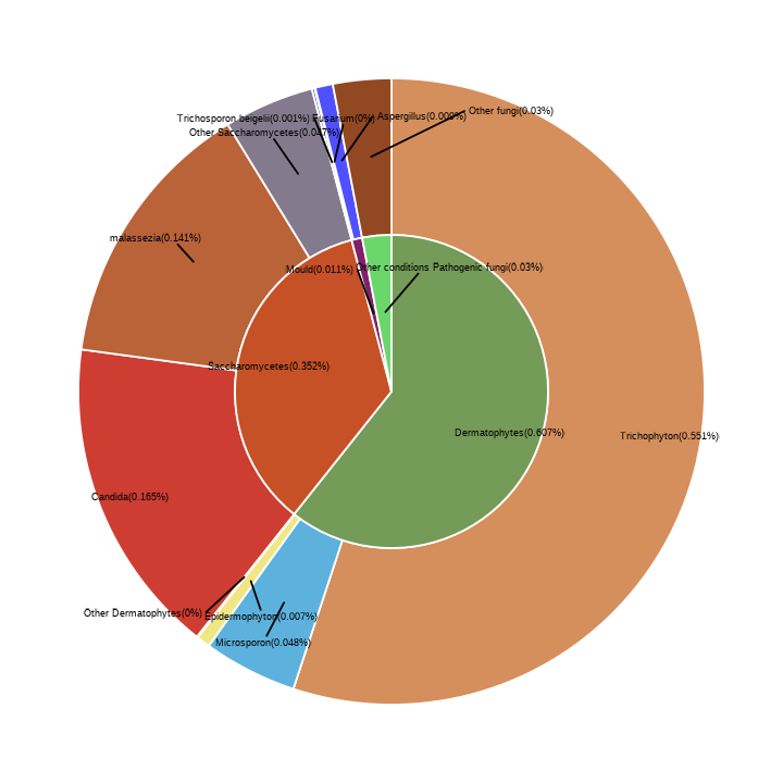 多层饼图 Ggplot2 Csdn博客 