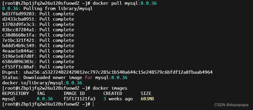 记录：阿里云服务器网站搭建（2）_阿里云 mysql 配置skip-name-CSDN博客