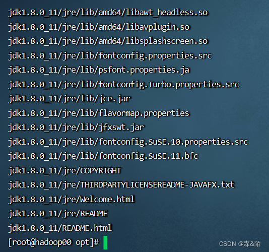 hadoop连接finalshell及jdk配置_finalshell导入配置文件-CSDN博客