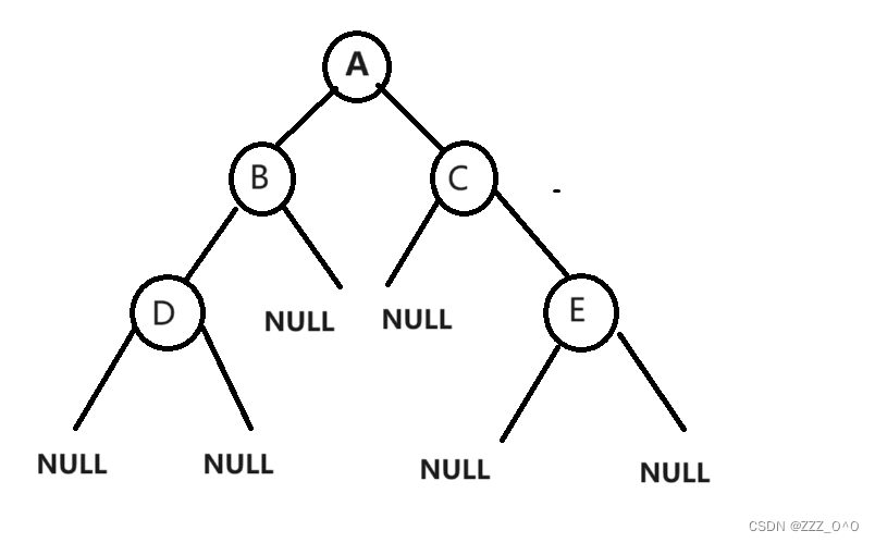 暴力数据结构之二叉树（初阶）-CSDN博客