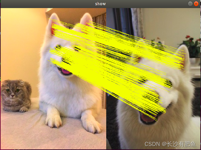 GMS特征匹配：C++, Python和Matlab实现-CSDN博客