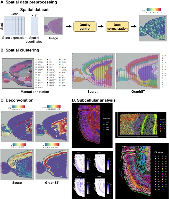 文献阅读：ezSingleCell 为实验室科学家提供集成的一站式单细胞和空间组学分析平台-CSDN博客