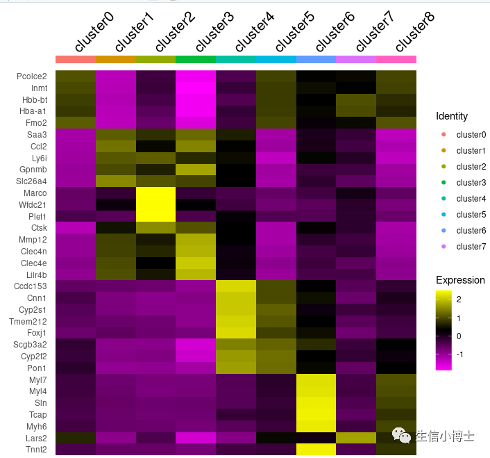 优雅地展示20w单细胞热图|非Doheatmap 超大数据集 细胞数太多-CSDN博客