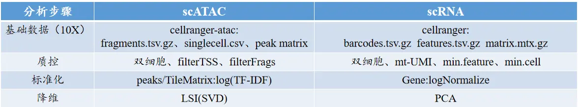 10X单细胞ATAC高级分析内容_单细胞atac分析-CSDN博客