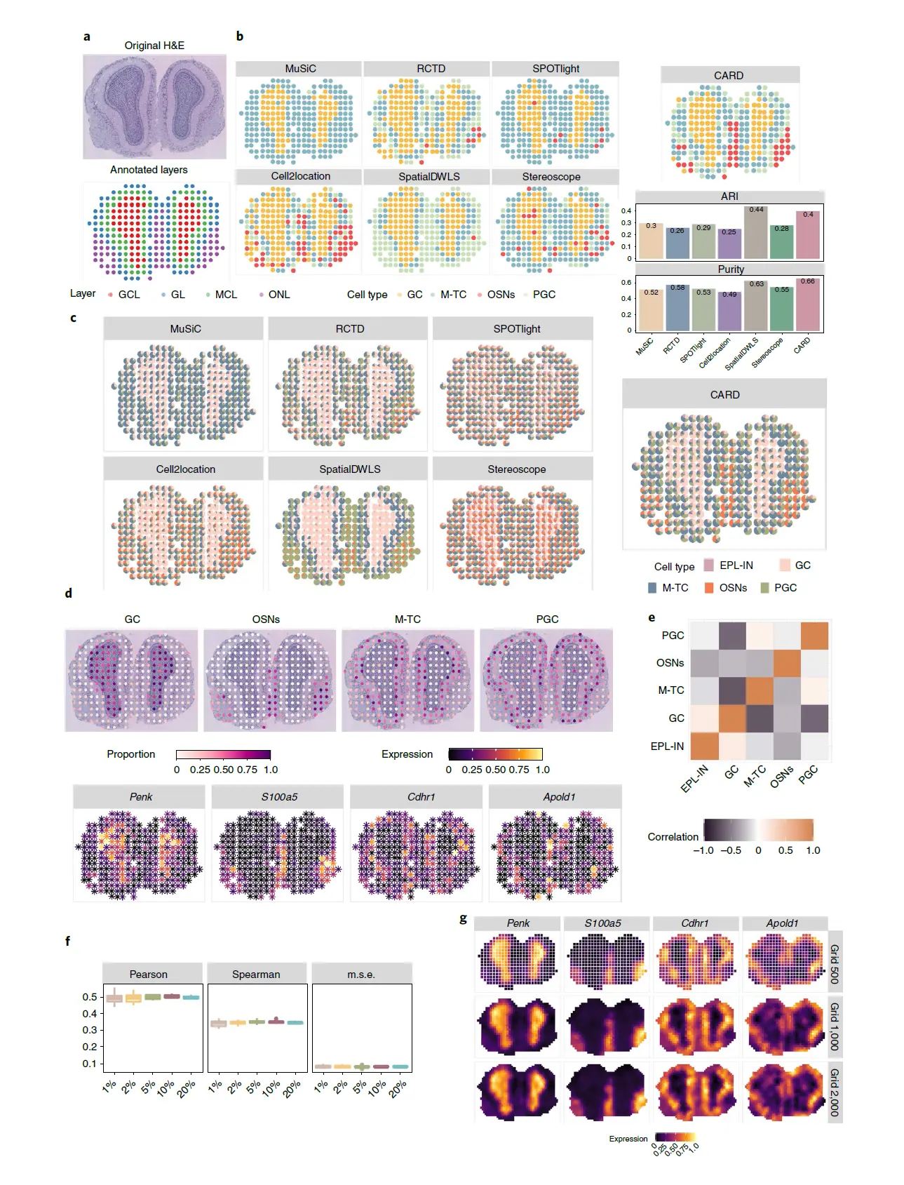 10X单细胞空间联合分析之CARD（即使单细胞数据不匹配）_card匹配区域可信度-CSDN博客