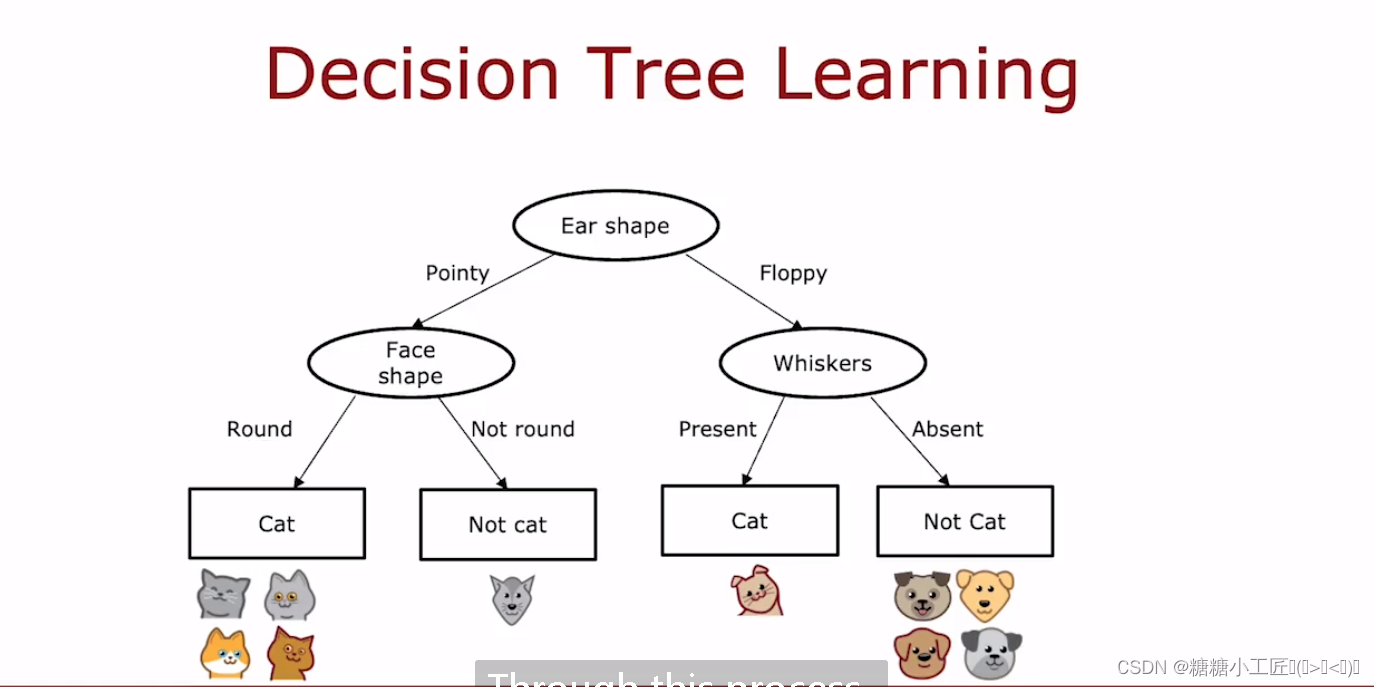 【机器学习简单笔记】【P5】 决策树(Decision Tree)_决策树ap-CSDN博客