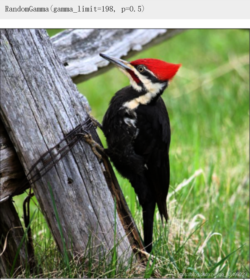 Albumentation使用指南-CSDN博客