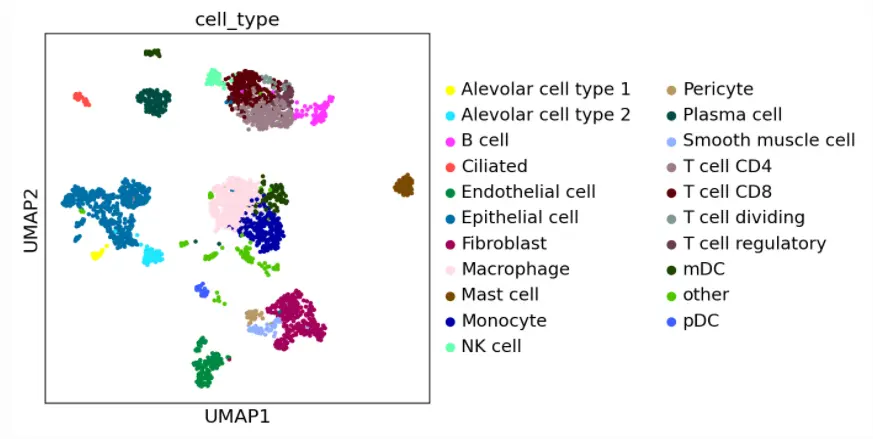 10X单细胞（10X空间转录组）CNV分析之inferCNVpy_python infercnv cnvscore-CSDN博客