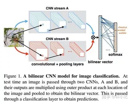 双线性池化（Bilinear Pooling）详解、改进及应用-CSDN博客