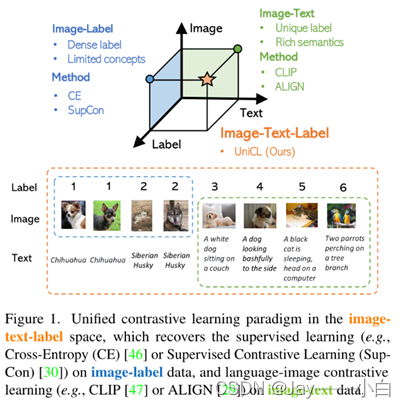 文献阅读：Unified Contrastive Learning in Image-Text-Label Space-CSDN博客