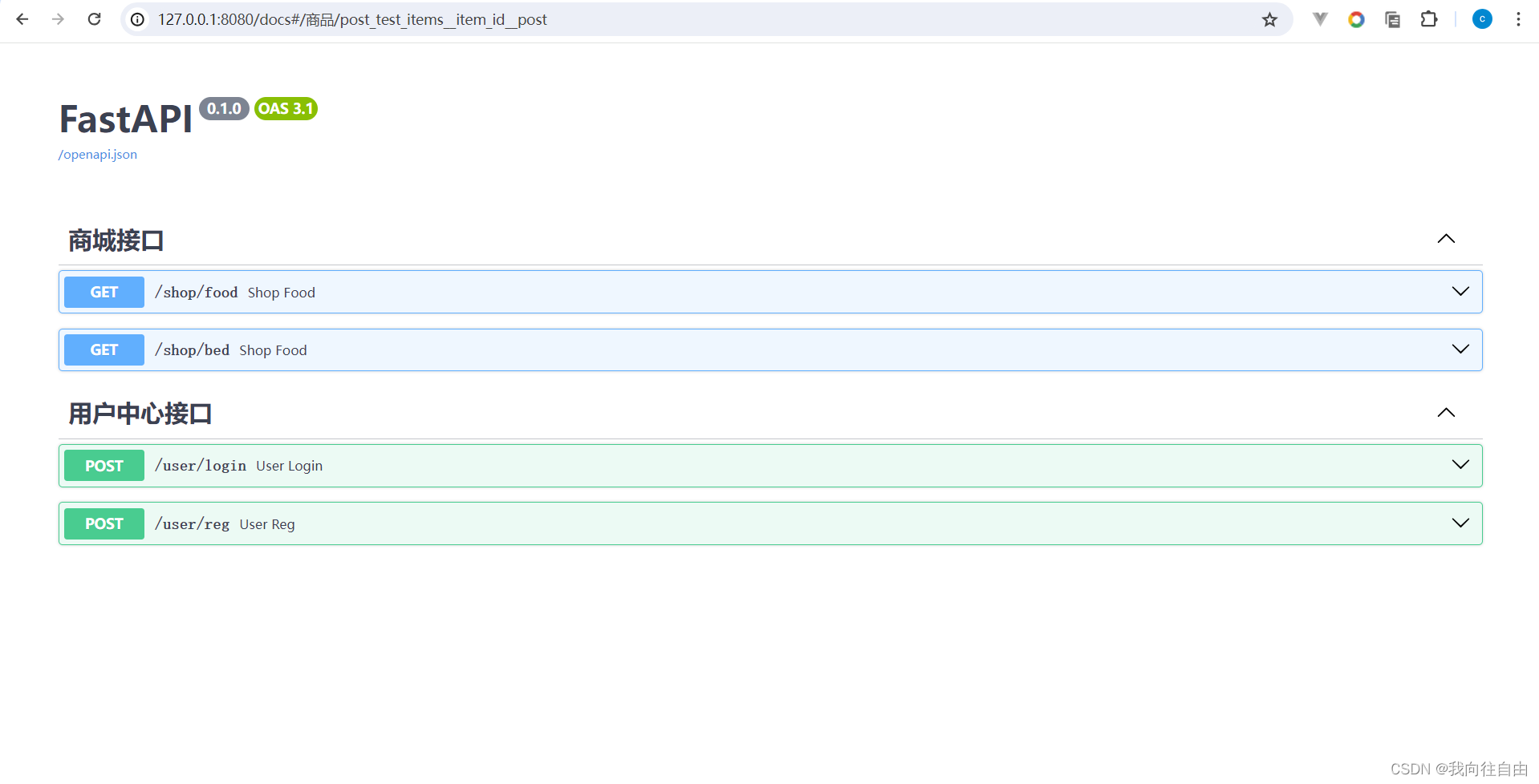【最快入门】一篇文章学会Python最快框架fastapi_python fastapi教程-CSDN博客