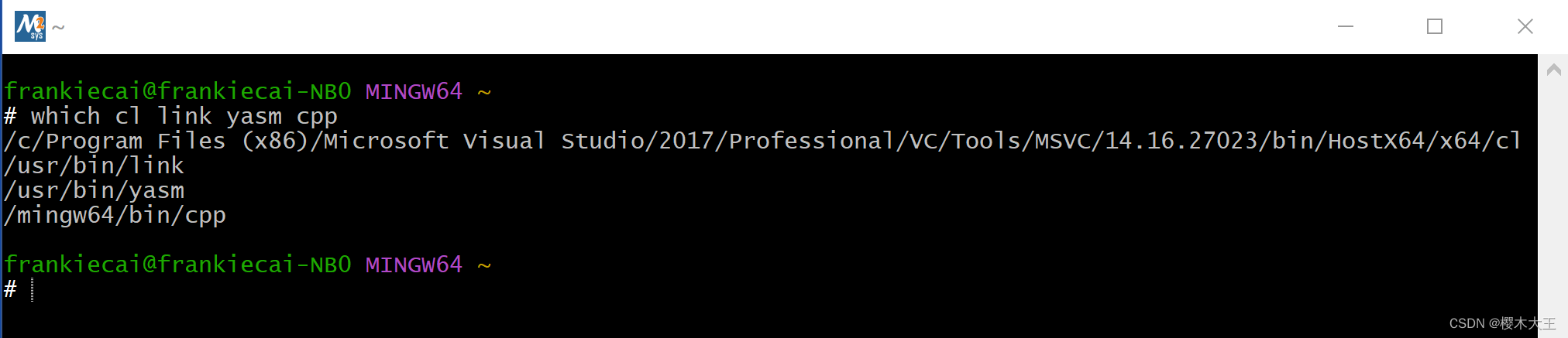 x264编译和使用（windows + vs2017）_x264下载与编译-CSDN博客