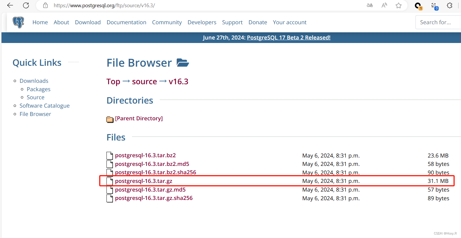 在Centos7上安装PostgreSQL16的详细步骤_centos7安装postgresql16-CSDN博客