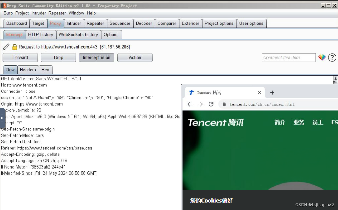Burpsuite基本使用_burpsuite chrome-CSDN博客
