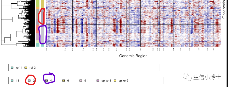 infercnv 三回首：深入理解infercnv为何能发nature-CSDN博客