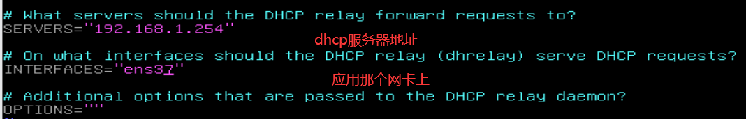 Debian10开启路由转发以及配置dhcp中继_debian10 路由设备-CSDN博客