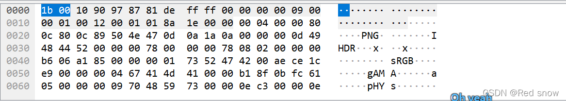 [SUCTF2019]protocol-CSDN博客