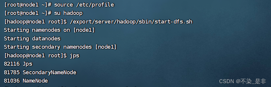 启动hadoop集群没有SecondaryNode和DataNode和NameNode的解决方案_ubuntu启动hadoop 没有namenode和datanode-CSDN博客