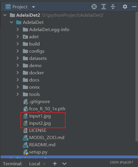 安装detectron2，AdelaiDet并在PyCharm中运行成功demo完整教程_detectron2安装pycharm-CSDN博客