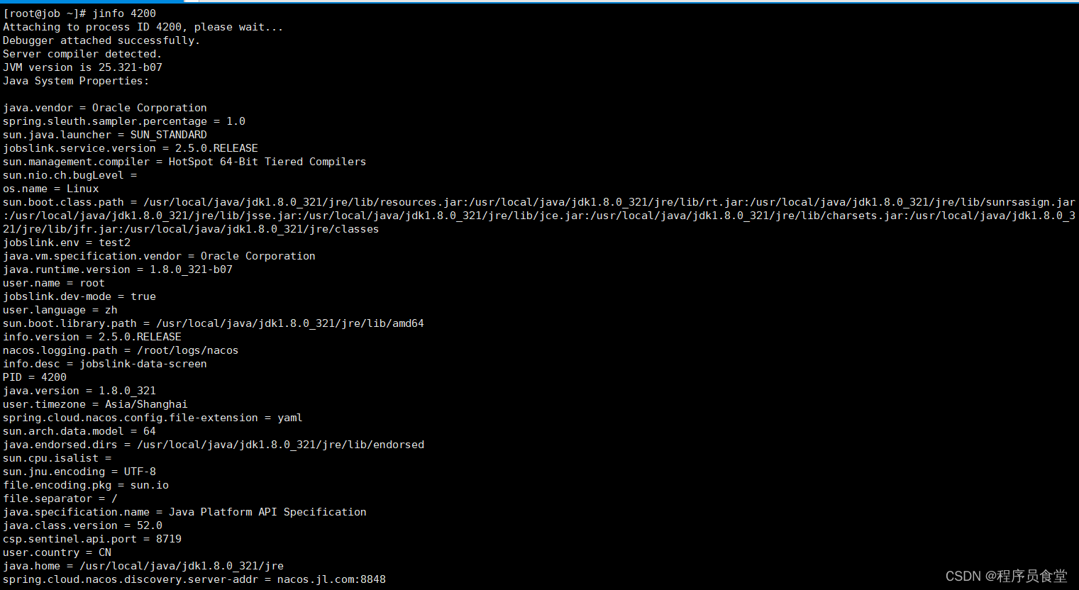 【jvm】jinfo使用-CSDN博客