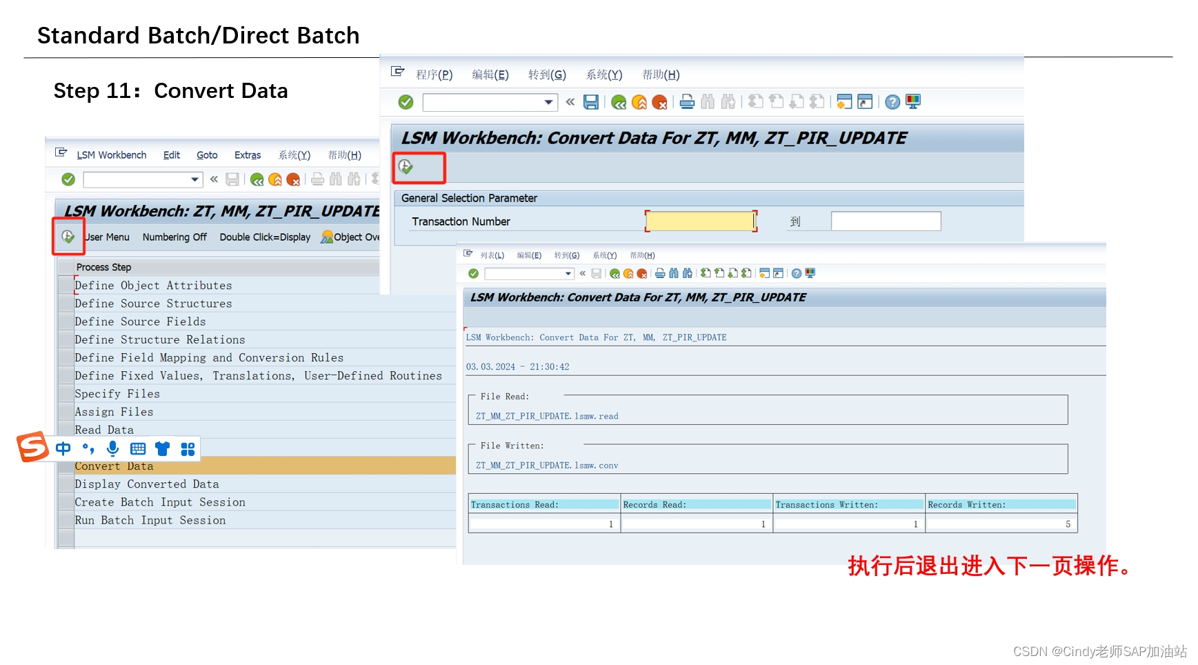 LSMW 功能展示一•Standard Batch/Direct Batch_lsmw standard-CSDN博客