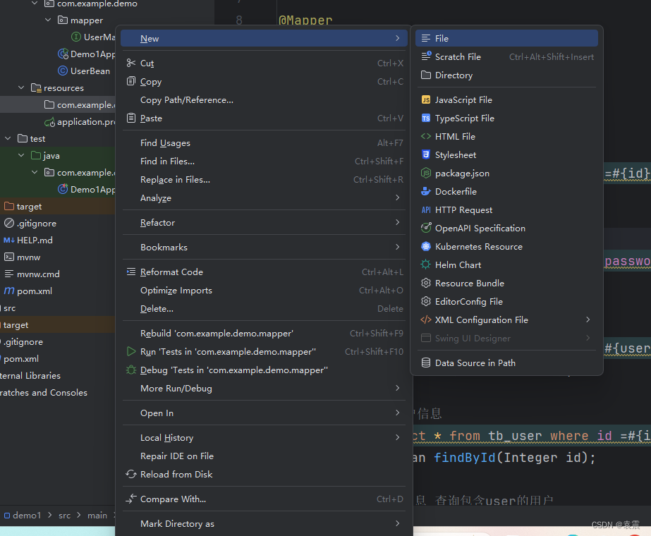 Java---Mybatis详解三_mybatis usermapper-CSDN博客