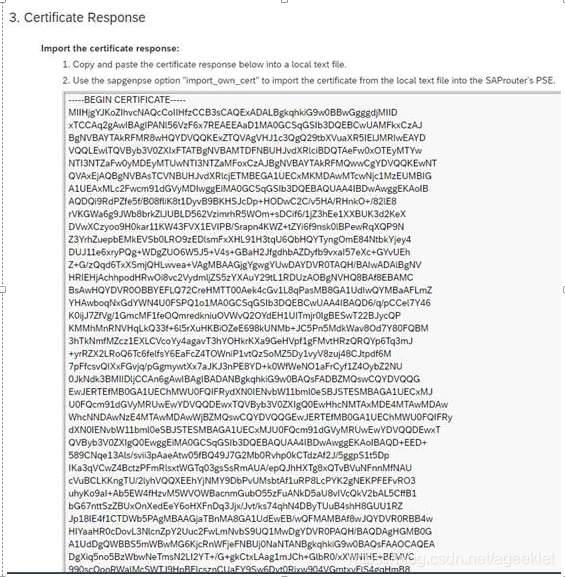 Linux下安装SAProuter_saprouter linux-CSDN博客