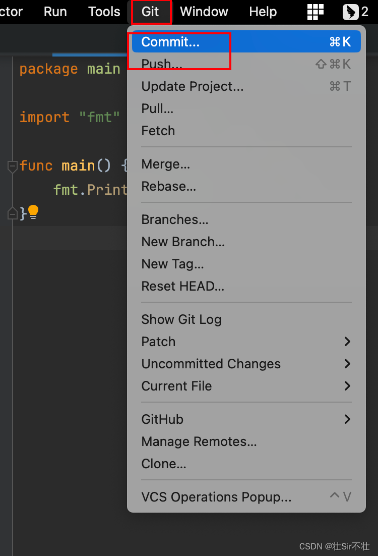 Mac goland上传项目到gitee_goland gitee-CSDN博客