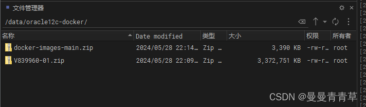 基于docker的oracle12 2 0 1部署及oracle使用与docker镜像容器制作迁移方法 Docker安装oracle12 Csdn博客