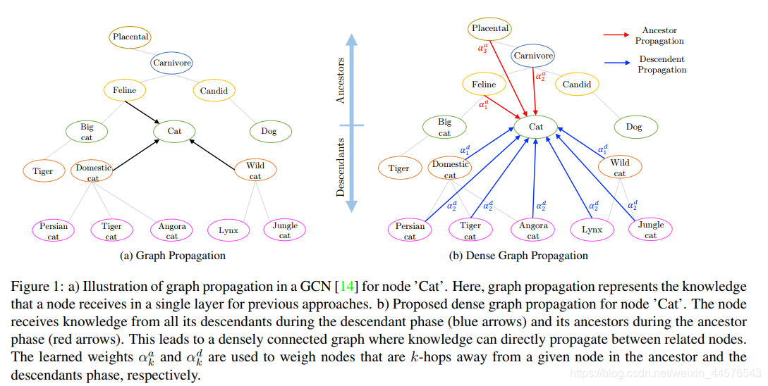 Rethinking Knowledge Graph Propagation for Zero-Shot Learning-CSDN博客