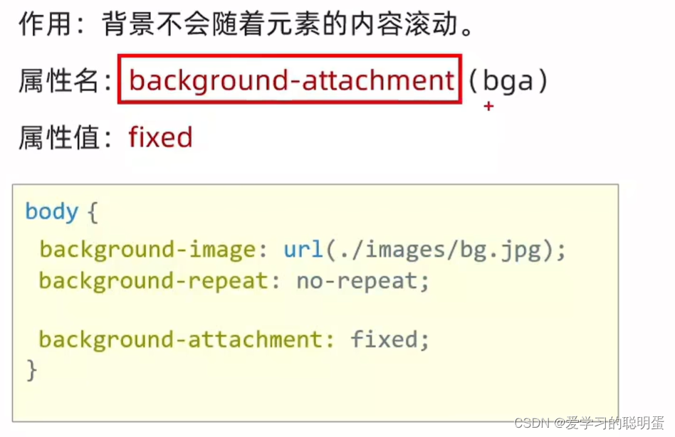 web学习day-6-CSDN博客