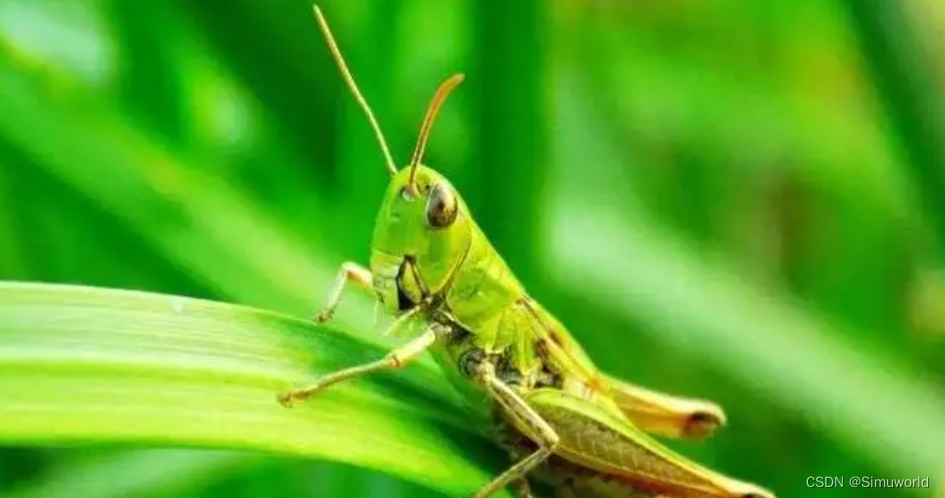 【GOA】蝗虫优化算法(Grasshopper Optimisation Algorithm,GOA)理论分析与matlab性能仿真,使用CEC2017测试_蝗虫优化算法模糊pi仿真-CSDN博客