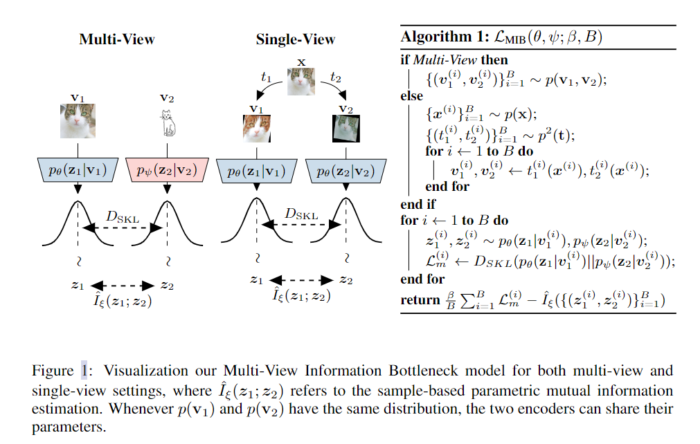 论文学习 Learning Robust Representations via Multi-View Information Bottleneck-CSDN博客