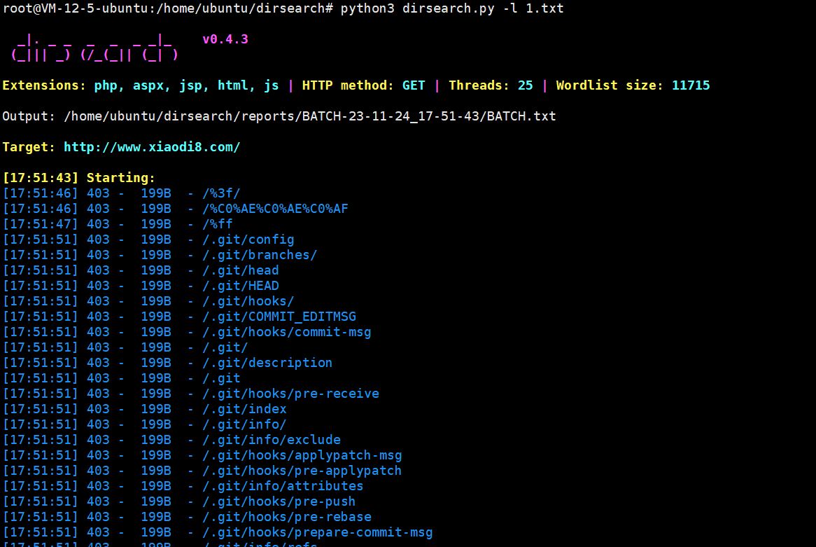 Dirsearch简单使用_dirsearch添加字典-CSDN博客