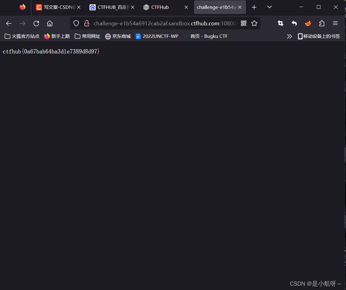 CTF入门：寻找隐藏的flag.txt-CSDN博客