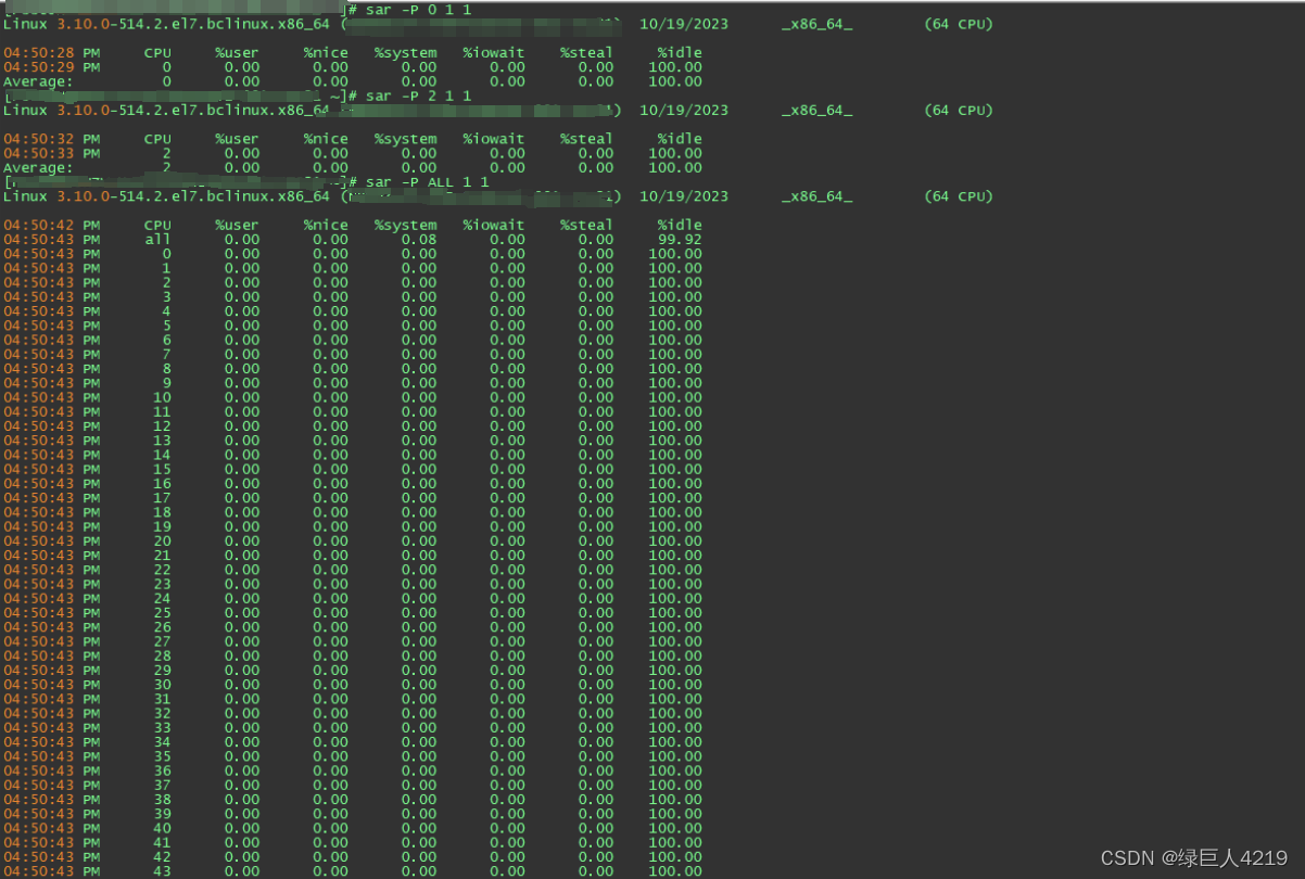 sar工具详解-CSDN博客