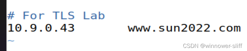 TLS Lab（Transport Layer Security Lab，SEED实验）基于PKI实验内容进行中间人攻击实验 ...
