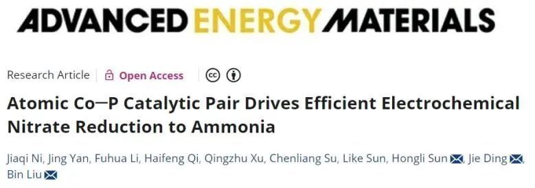 构建原子Co-P催化对，实现高效驱动NO3−电还原为NH3_电催化硝酸根还原成肼-CSDN博客