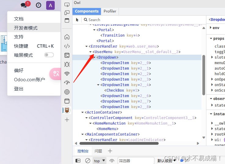 odoo 一日一技 owl Registry示例 在用户菜单增加开发者模式开关_registry odoo-CSDN博客