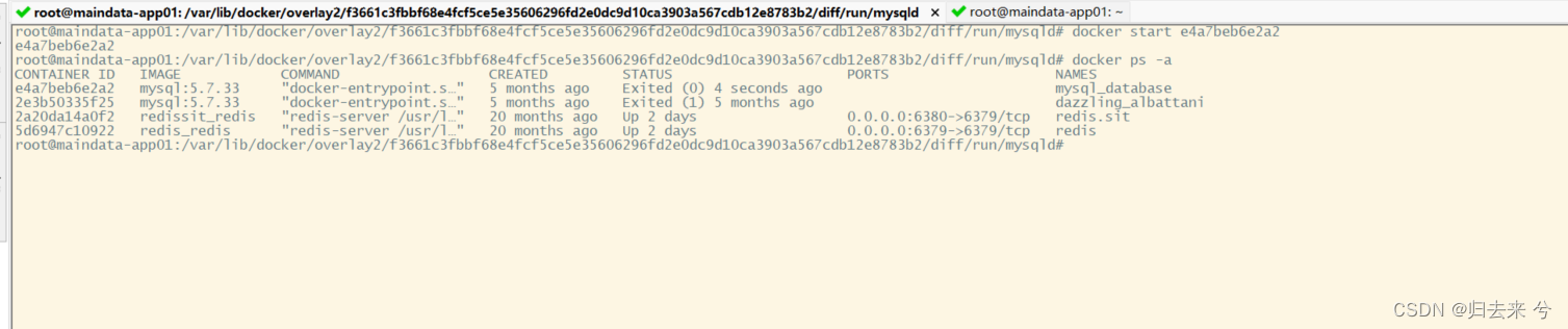 docker start启动容器后闪退或者失败_unable to setup unix socket lock file-CSDN博客