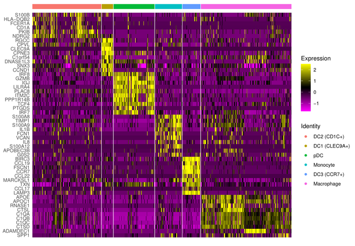 2023-11-28-直播单细胞图表美化-seurat数据结构 featureplot dotplot vlnplot_nebulosa如何 ...