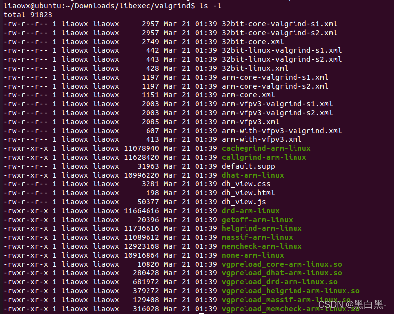 如何移植valgrind到arm开发板_vargrind linux arm移植-CSDN博客