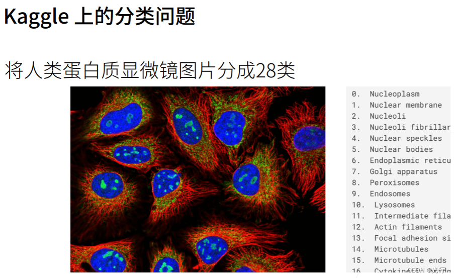 pytorch深度学习实战lesson10_d2l.plt.subplots-CSDN博客