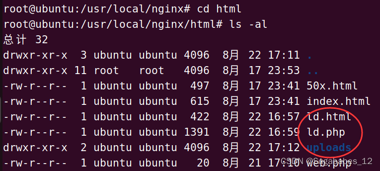 过滤字符和绕过案例_invalid option "-prefix-CSDN博客